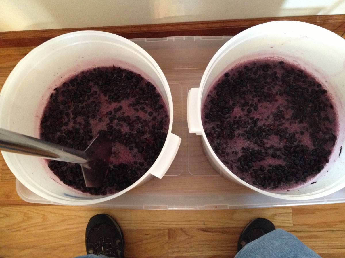 Wine #6 – Primary Fermentation – TwiddleNutz Homebrew